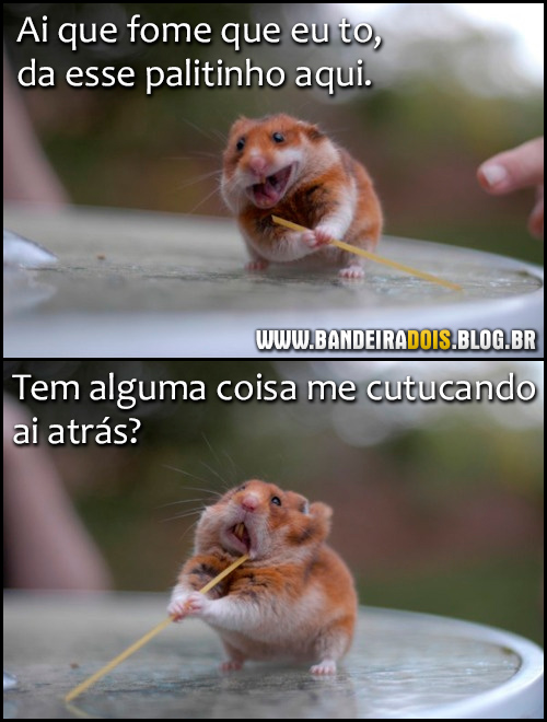 Comendo Bandeira Dois